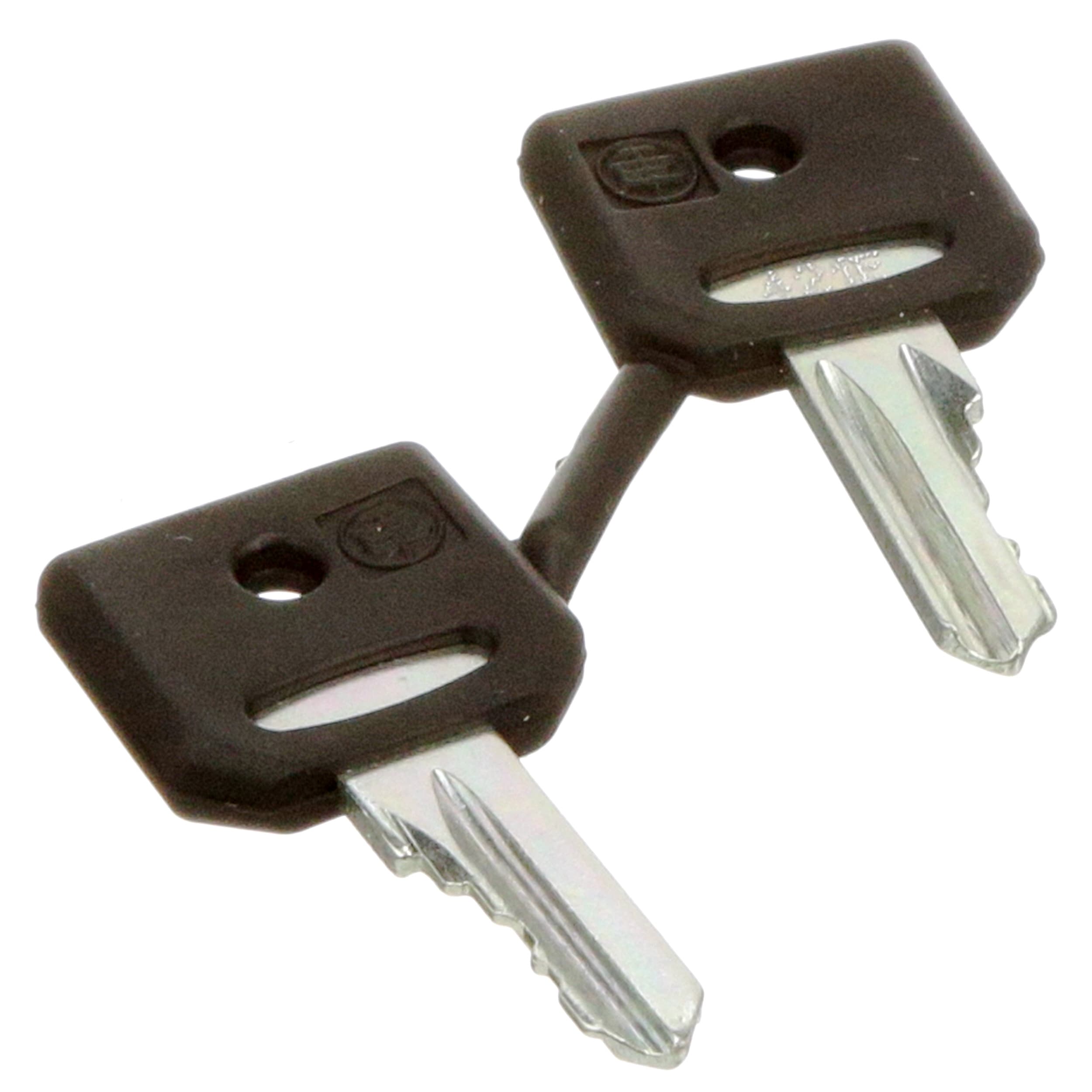 Schneider Electric - ZBG421E - Key Set, Replacement Keys, Number 421E Set of 3, Harmony XB5 ...